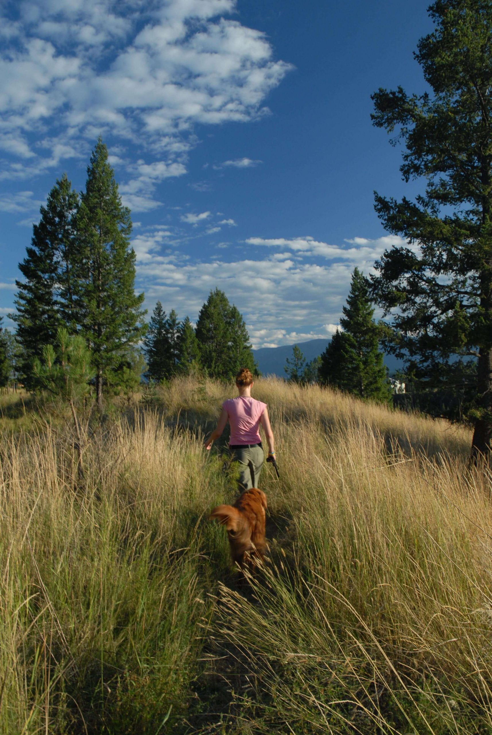 Invermere Lots for Sale | Starting at $99,000 | Live in CastleRock